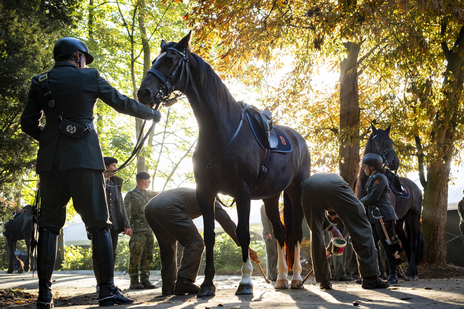 KCE - David van Dam - Generale repetitie van de Cavalerie Ere-Escorte ...
